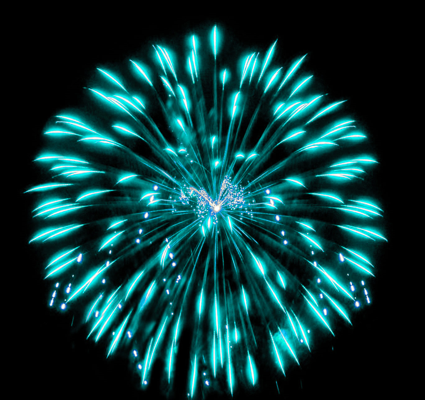 TERMS AND CONDITIONS